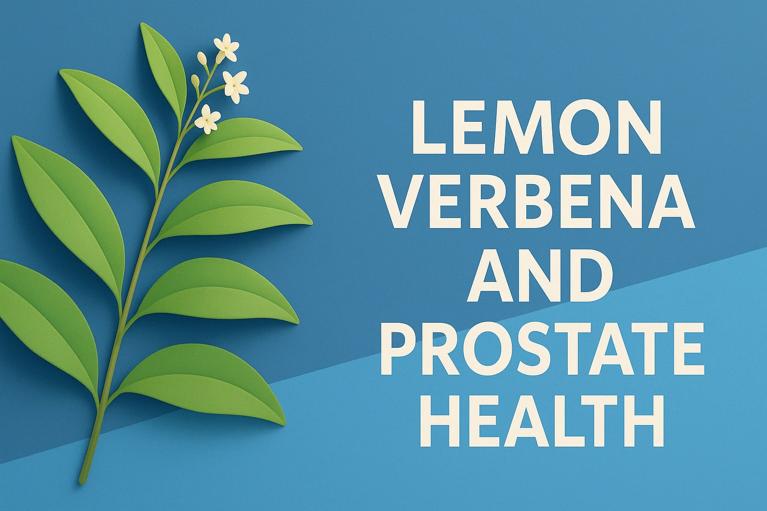 Lemon Verbena (Aloysia citrodora) and Prostate Health | Prostate ...
