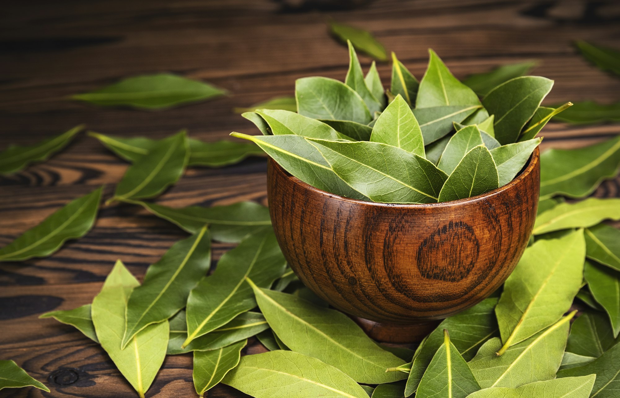 Bay Leaf: A Comprehensive Analysis of Its Health Benefits with a Focus ...